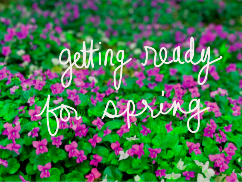 Getting Ready for Spring – Ziliotto